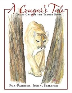 Kid's Corner | Mountain Lion Foundation