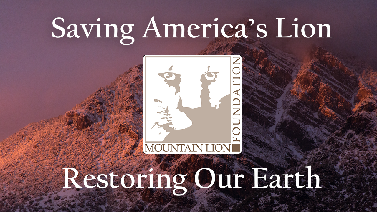 This Earth Day, Touch the Earth - Mountain Lion Foundation