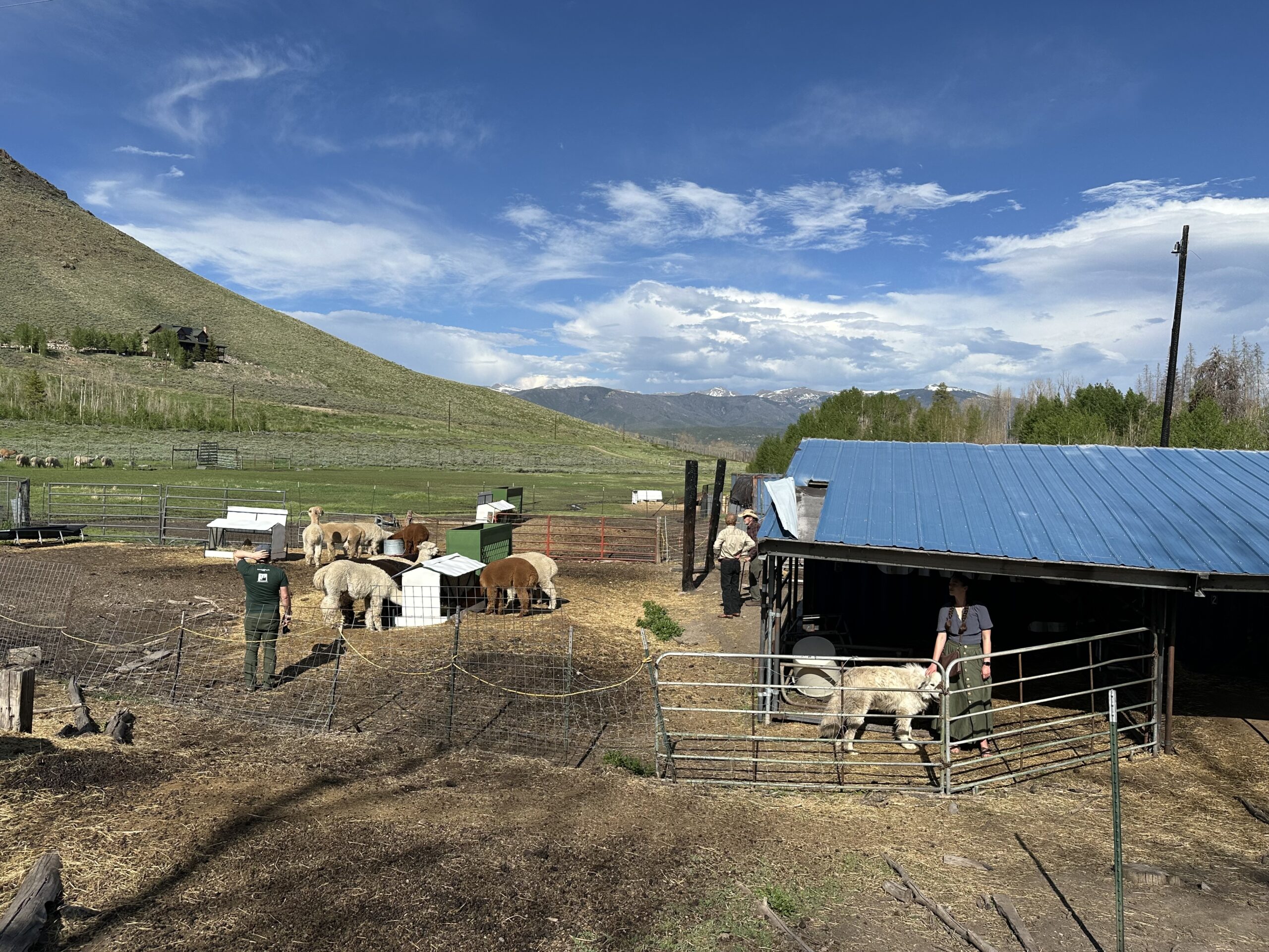 The Mountain Lion Foundation Goes to Work in Colorado - Mountain Lion ...