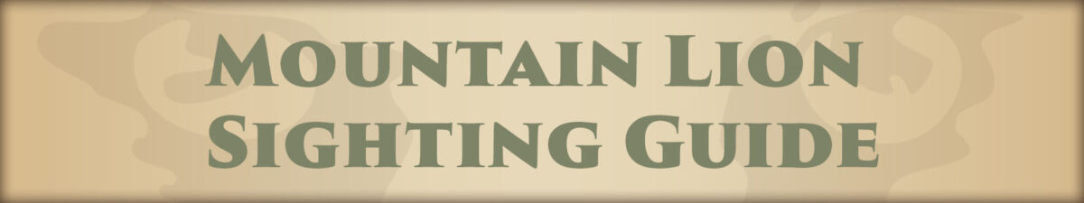 Mountain Lion Sighting - Mountain Lion Foundation
