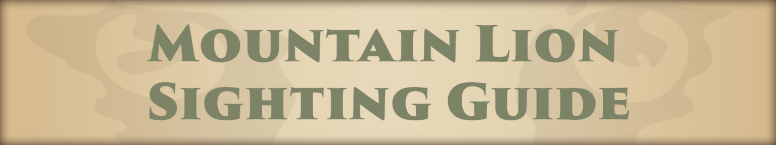 Mountain Lion Sighting - Mountain Lion Foundation