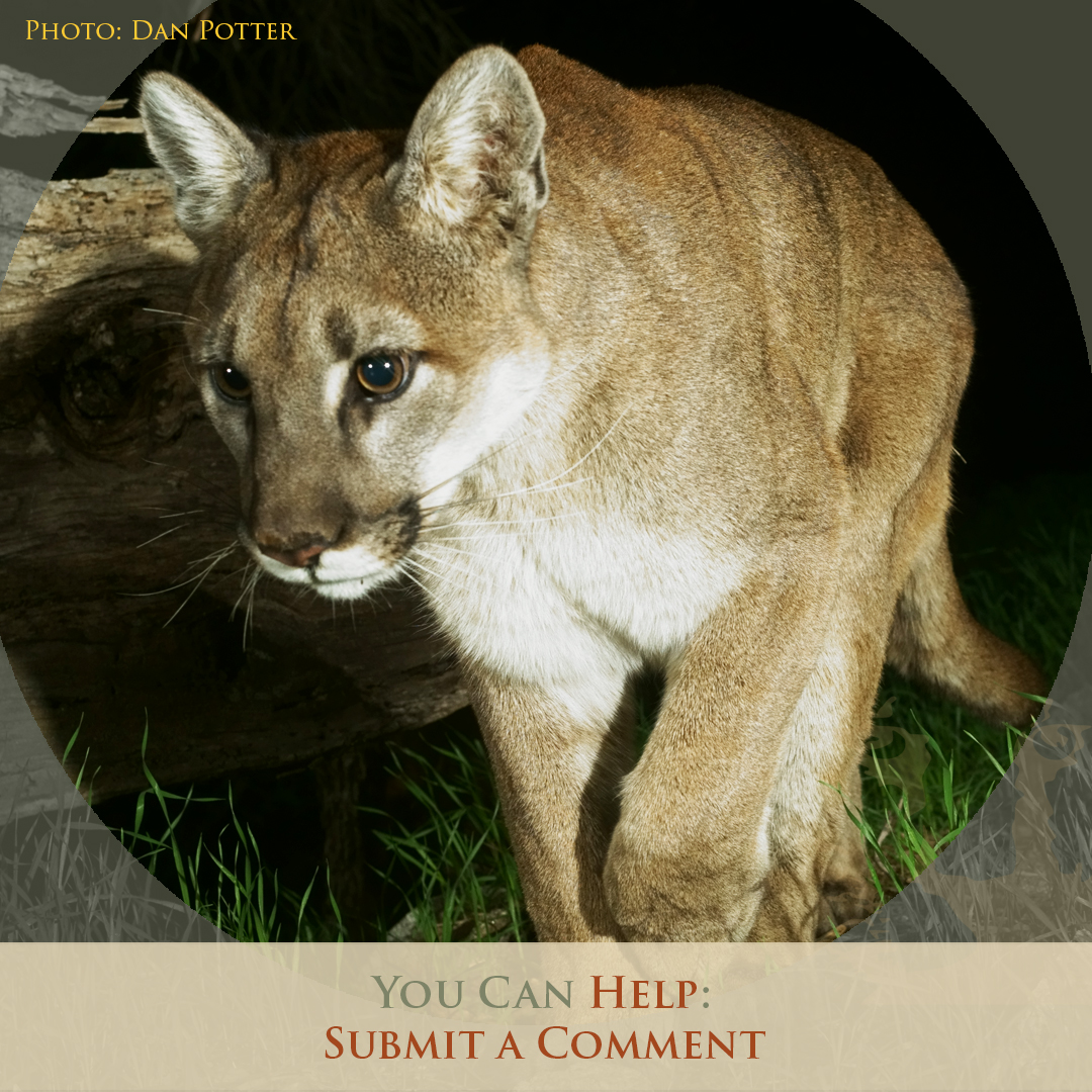 Action Alert: Speak Up for the Central Coast and Southern California ...